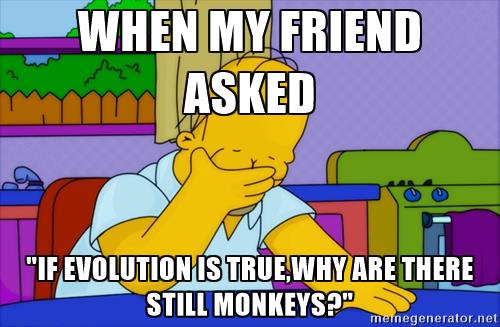 homer simpson monkeys evolution meme | The Atheist's Abode
